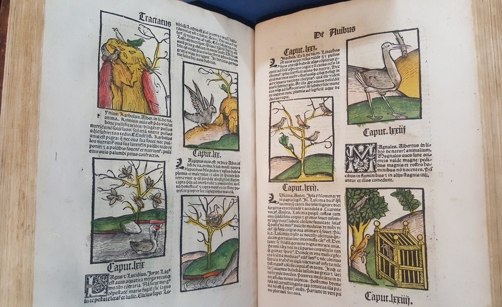 Why Early Modern Books Are So Beautiful