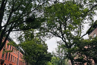 Reading & Eating | Shauna Niequist | Substack