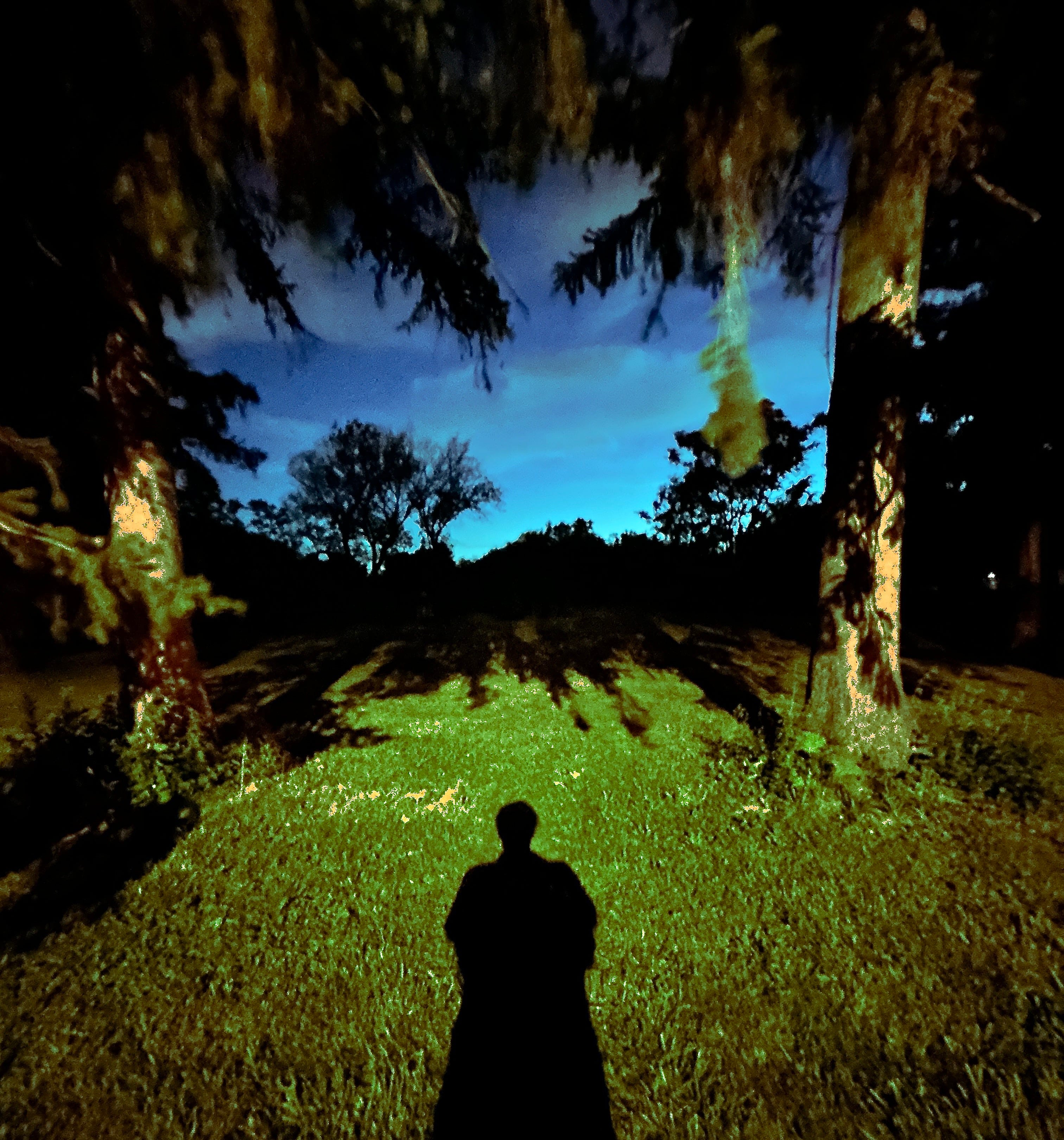 TRADE-OFFS - by Ray Grasse - Ray’s Substack