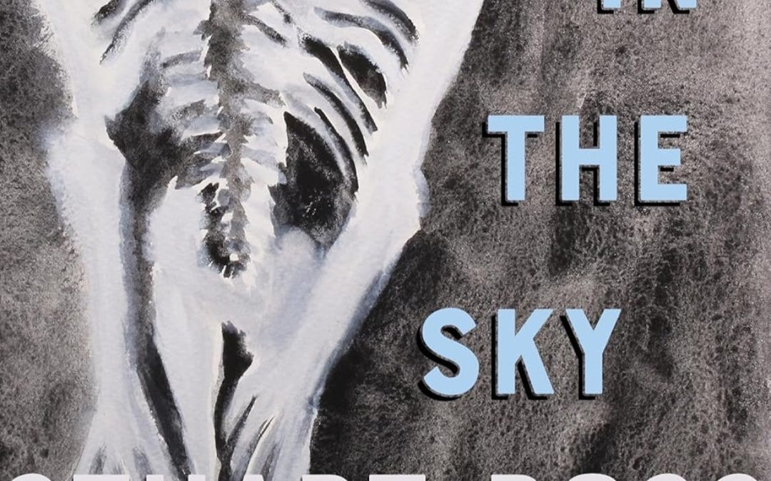 The Sky is a Sky in the Sky by Stuart Ross