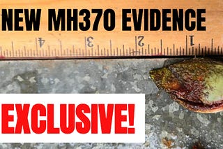 Finding MH370 | Jeff Wise | Substack