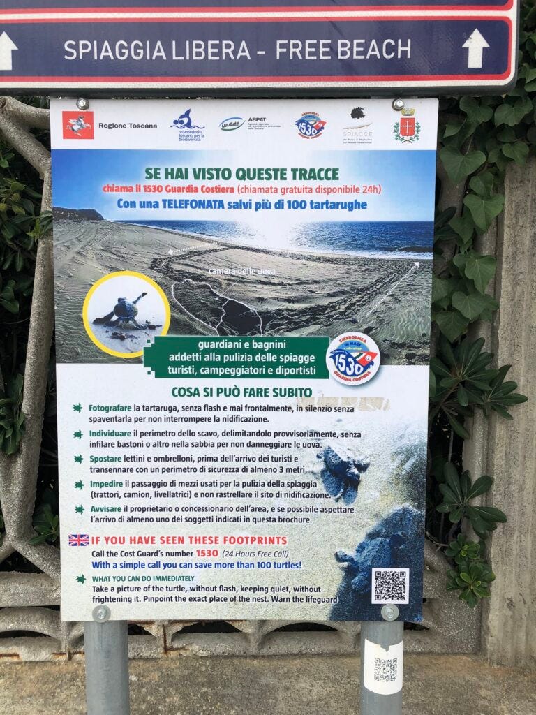 Tuscan Secrets off the beaten track - by Pia Whitmartlet