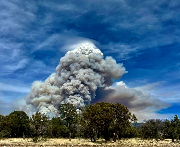 Newsom Nukes Raises For Cal Fire After Vetoing Firefighter Pay Bill.
