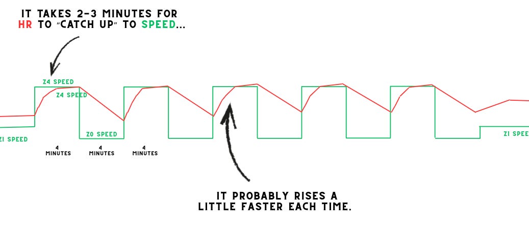 Training with Heart Rate: Intervals - by Joe Howdyshell