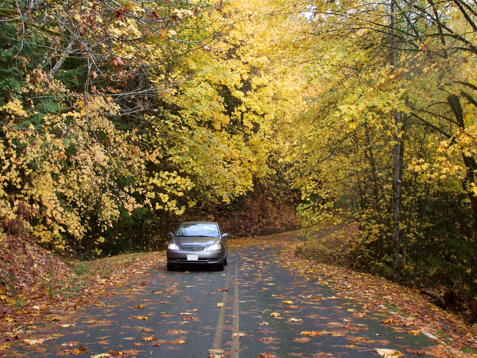 Hey Chadds Ford, Meet Vision Zero 🫱🏻‍🫲🏻 - by Jen Panaro