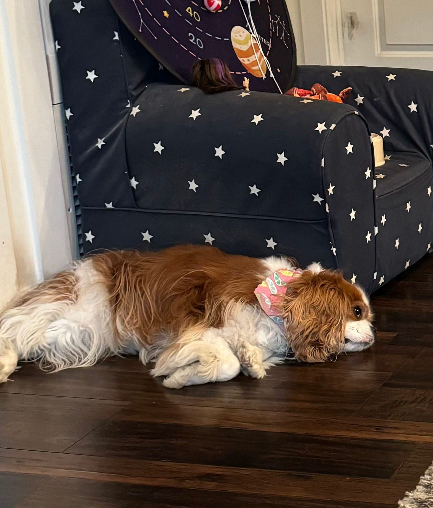 alison rosen substack