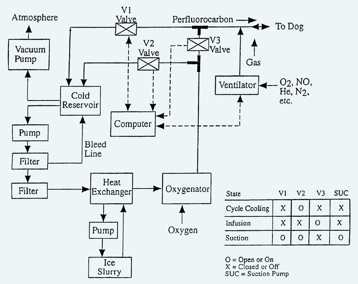 The Long Story of Liquid Ventilation - by Charles Platt