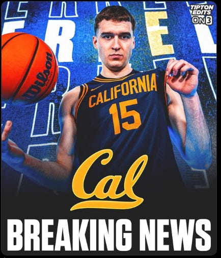 Men's Basketball: Cal adds F Milos Ilic via Transfer Portal