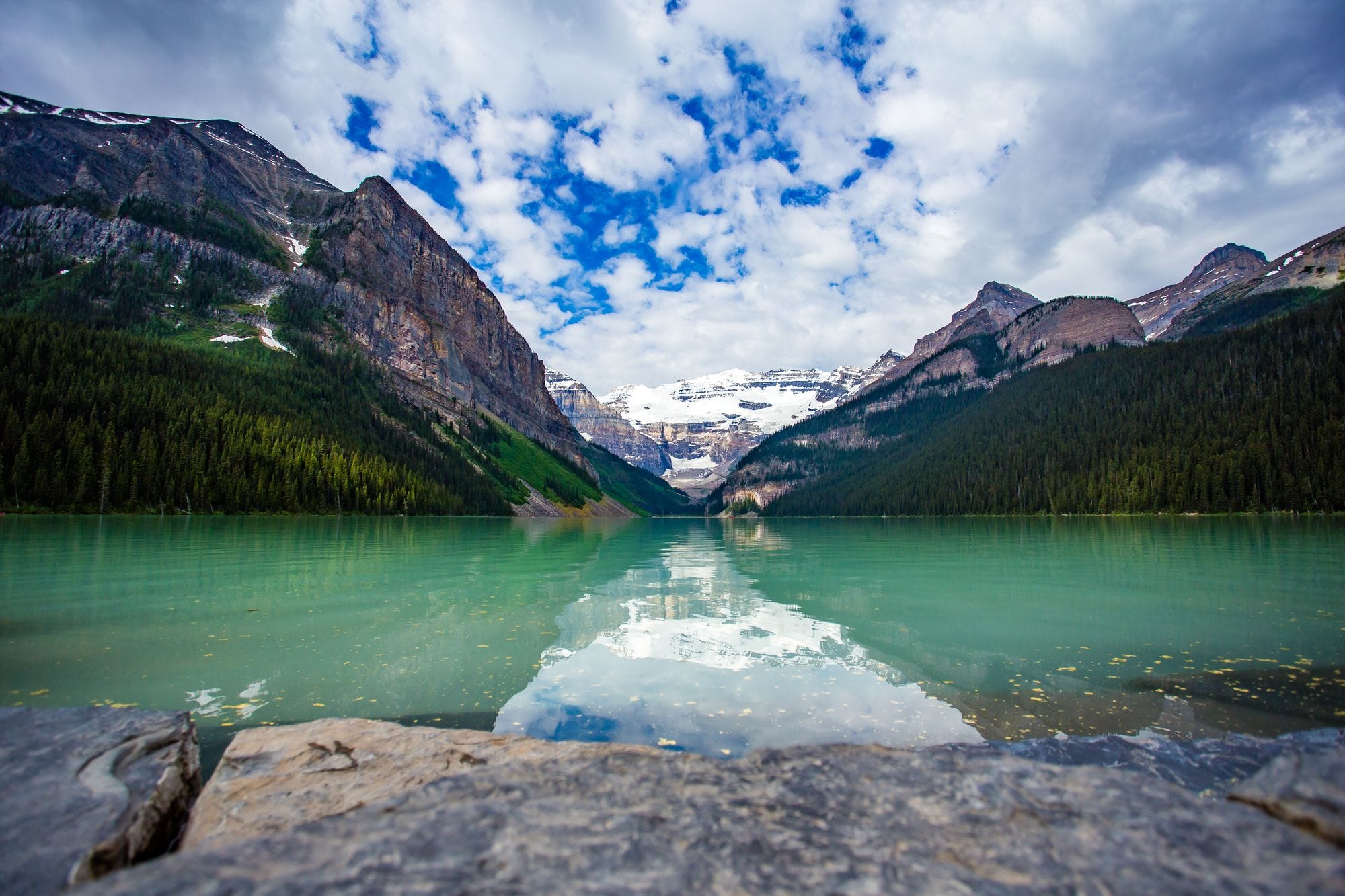 A Complete Guide to Tenets - by Dave Anderson - Scarlet Ink