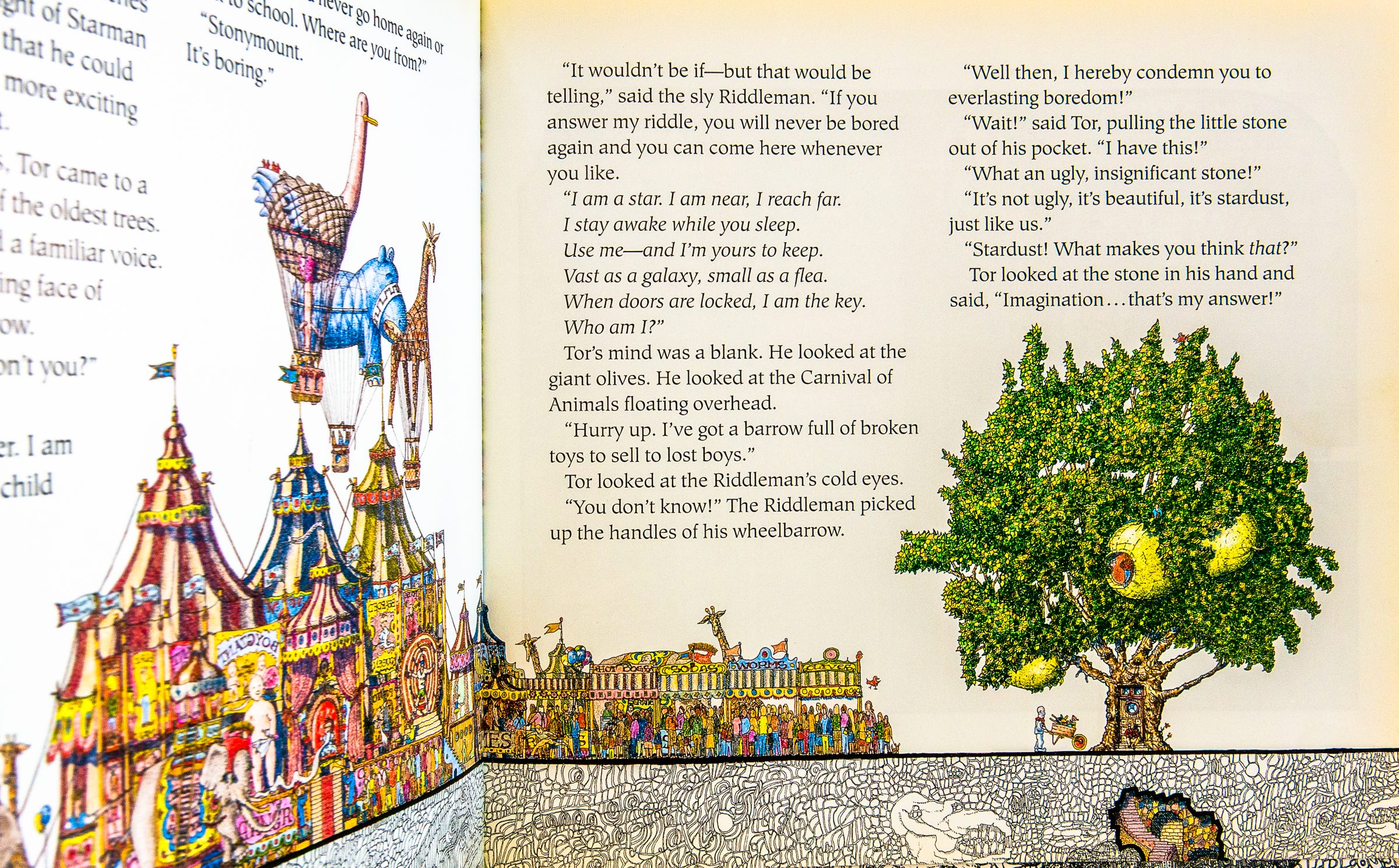 My favorite illustrated books for adults - Explore Your Worlds