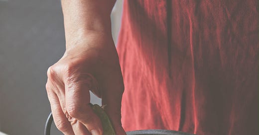 The Flavor Files | Nik Sharma | Substack