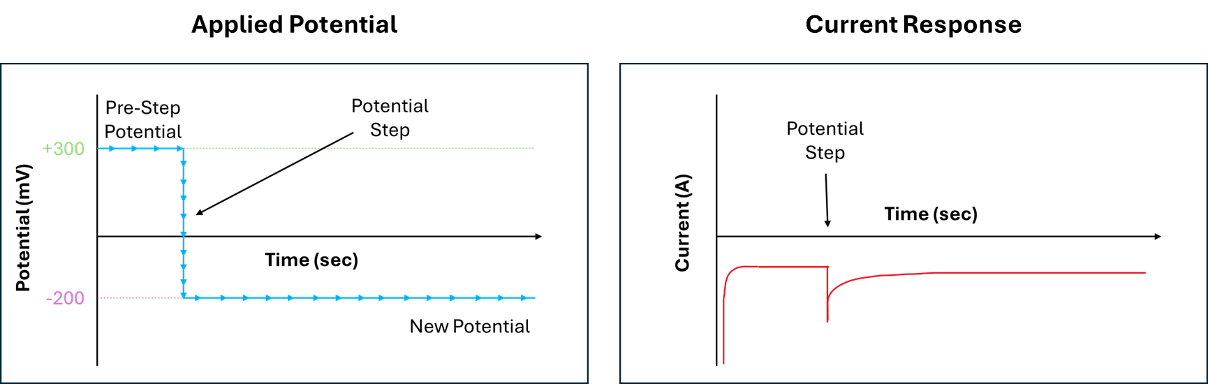 Understanding Chronoamperometric Responses