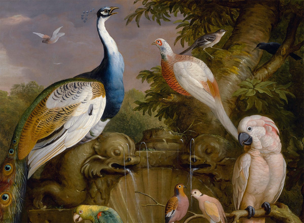 Animal Etymology: Bird Words - by Mike Bergin - Roots2Words