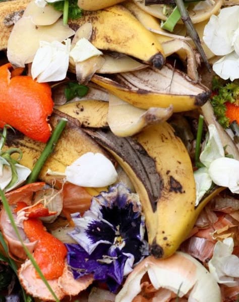 How Native Decomposers Work With Direct Composting