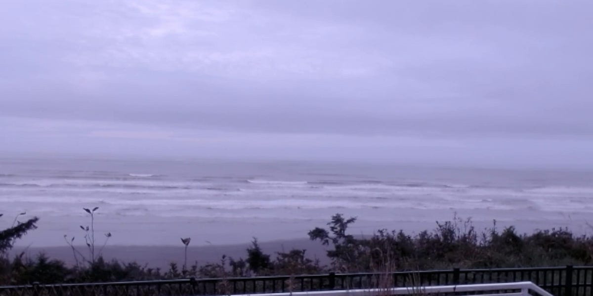 20241015 - 39 Days to Melee - Clif High Videos