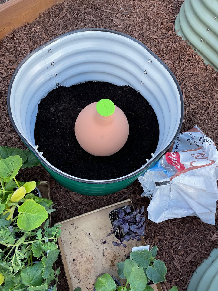 DIY Ollas and Smart Watering Tips for a Thriving, Eco-Friendly Garden