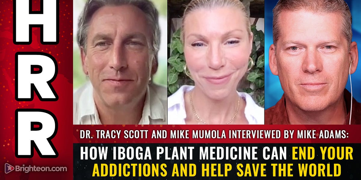Sacred plant medicine from Africa offers hope for addiction and trauma ...