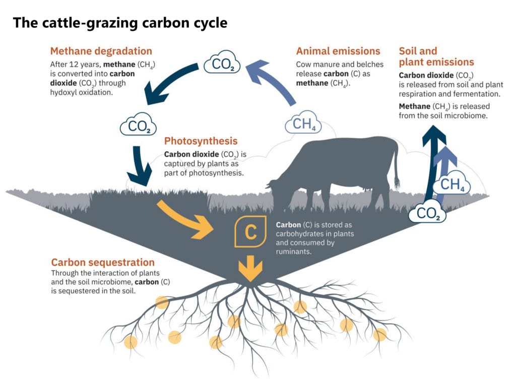 Bovaer Bovine Stupidity - by David Turver - Eigen Values