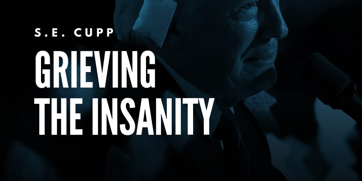 S.E. Cupp: Grieving the Insanity - by Tim Miller