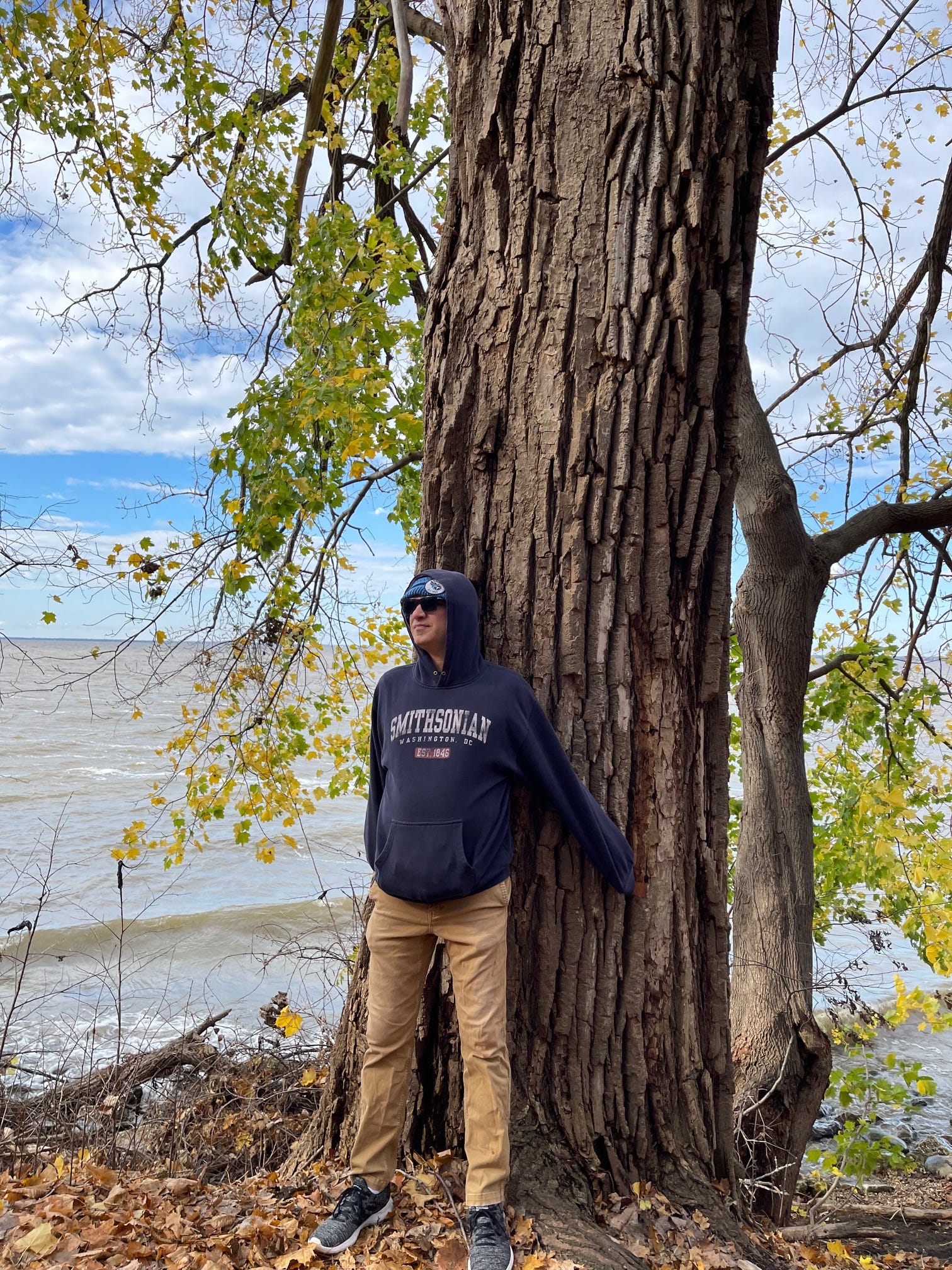 Blessings From the Linden Tree - by Ida Santana MD