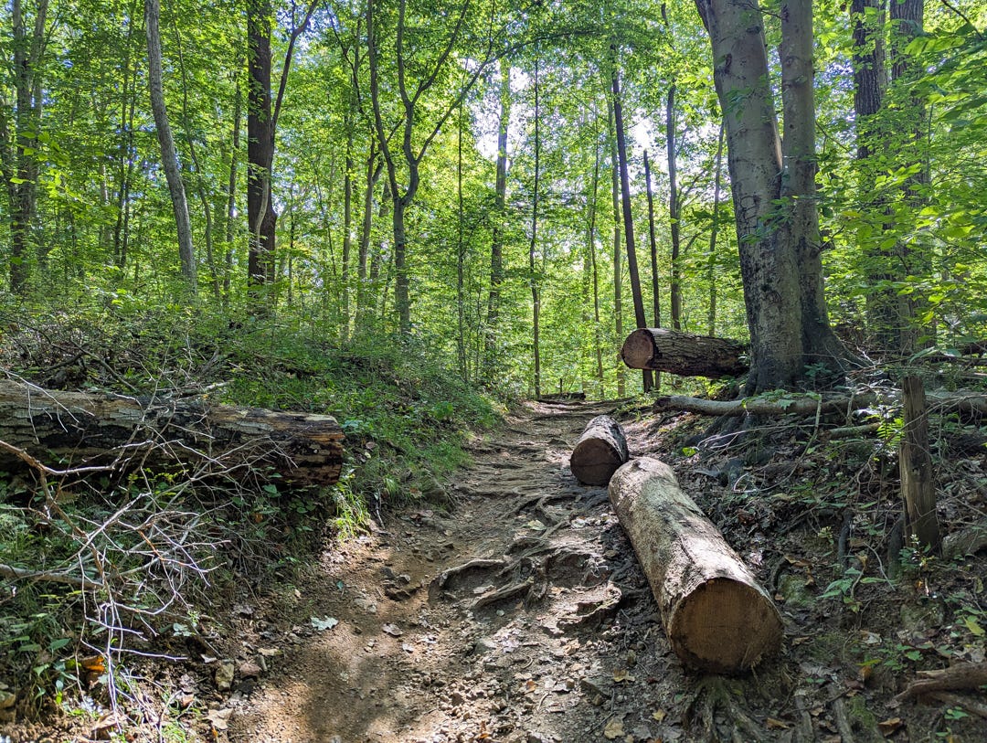 Local Guide: Hike around Chadds Ford - by Jen Panaro