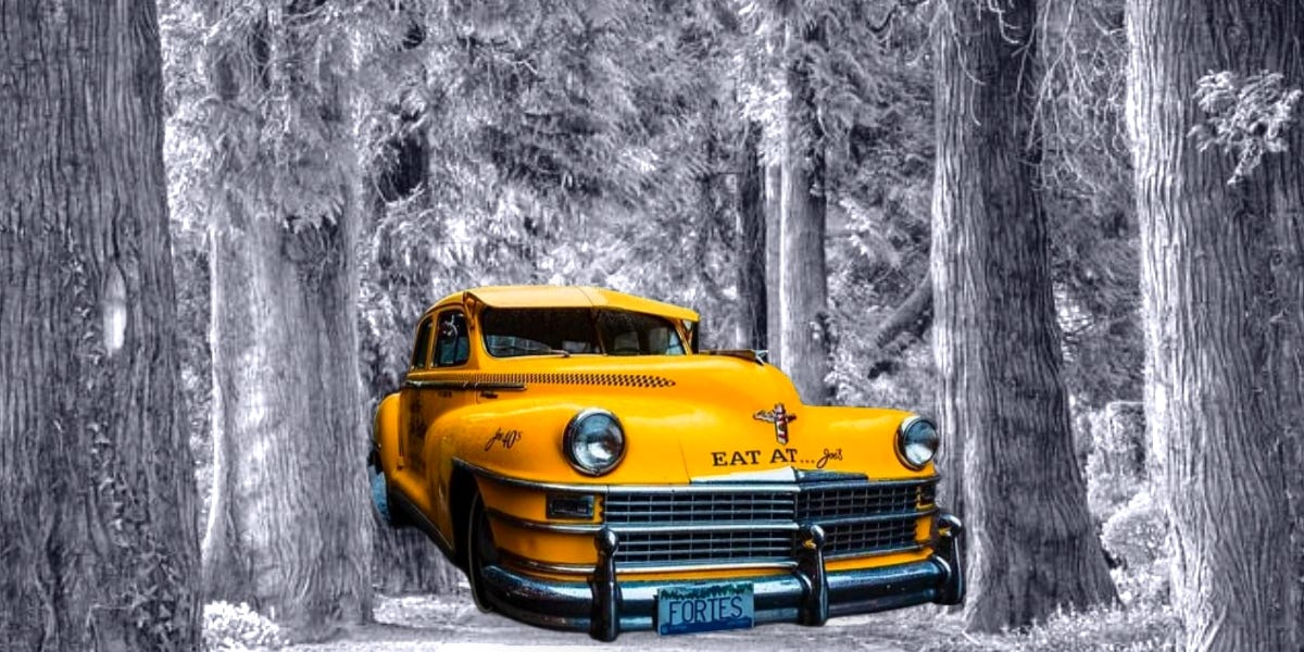 Big Yellow Taxi: The Environmental Movement's Anthemic Song