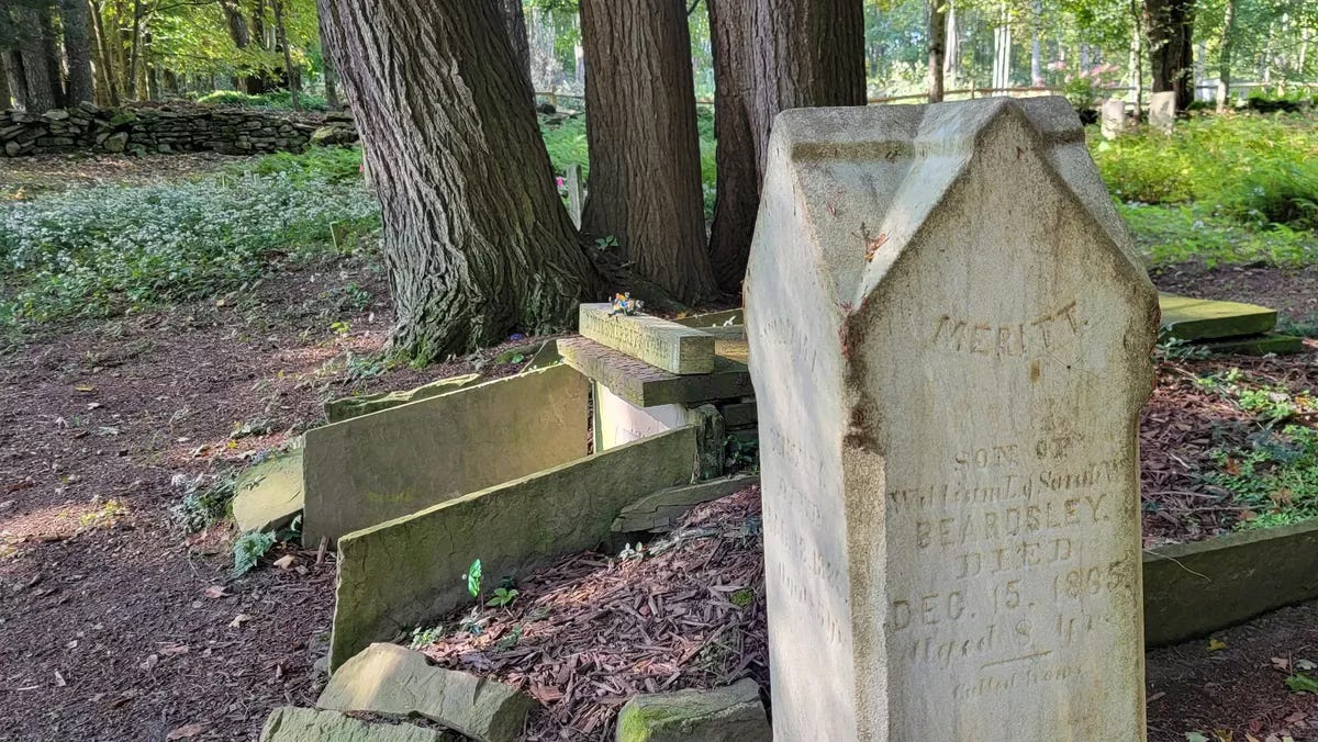 A Window of Light: The Story of Little Merrit Beardsley