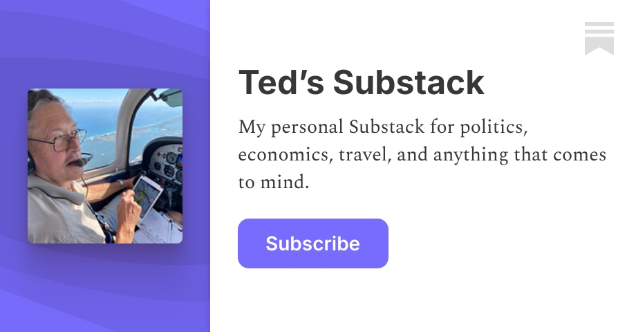 Hedieh Mirahmadi Falco - by Ted Slanker - Ted’s Substack