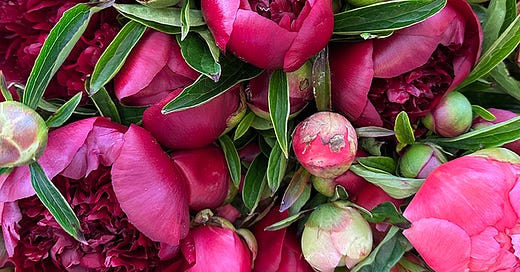 Echoes + Evidence | Ali Edwards | Substack