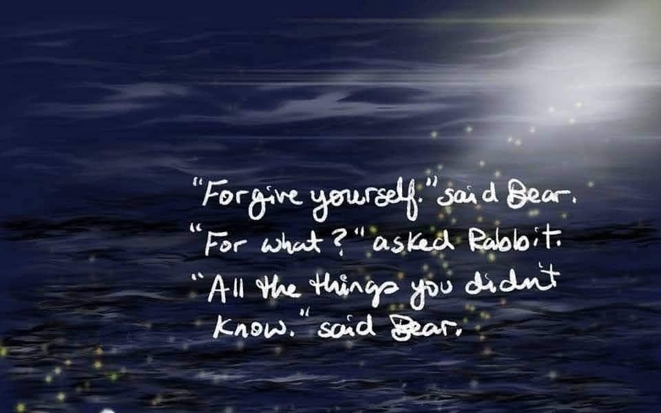 Daily Rabbit & Bear - by Tara Shannon - Tara’s Substack