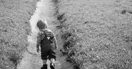 Cartas ao Condado | Elton Luiz | Substack