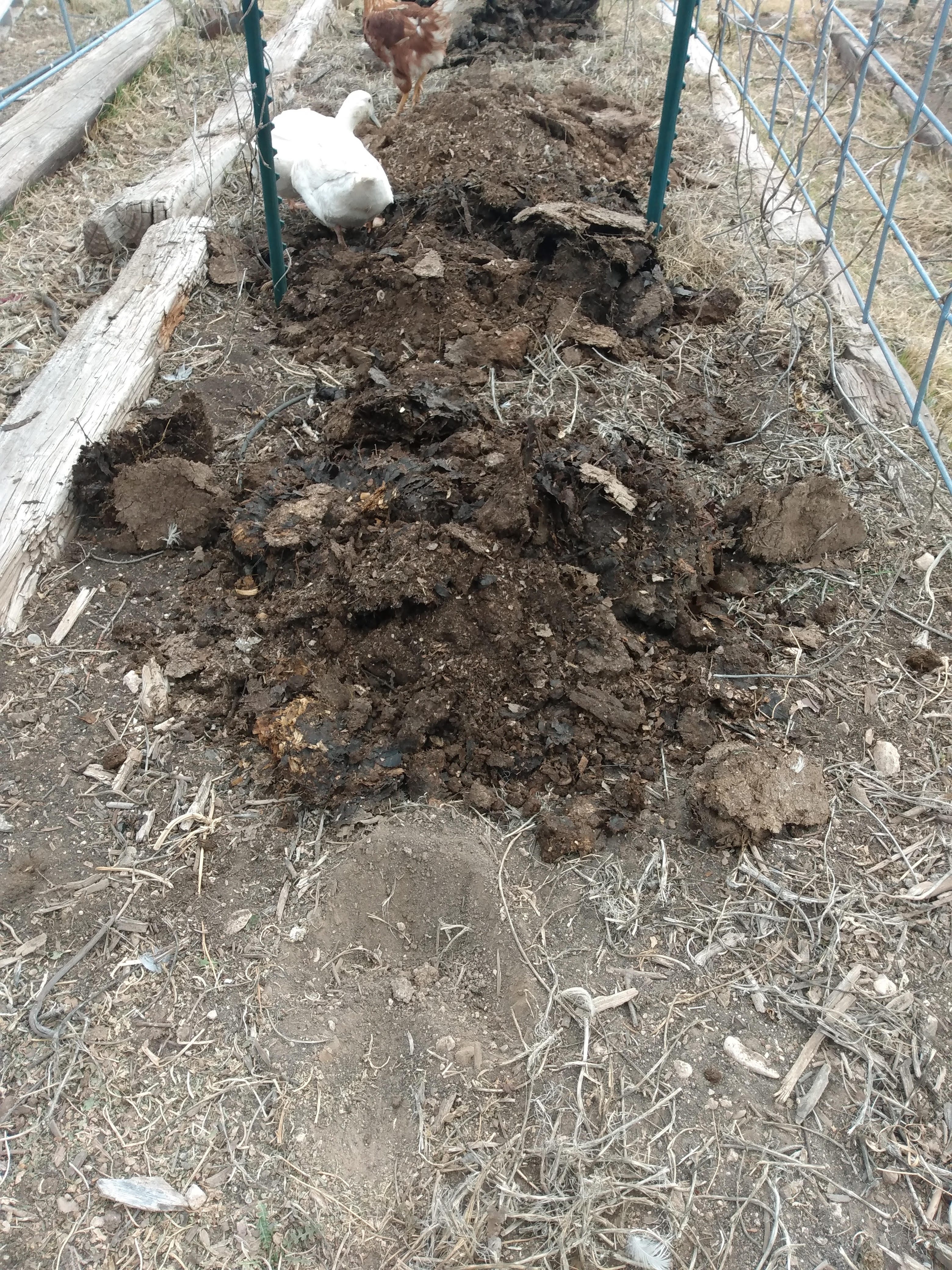 Composting Your Family - by Steadermen