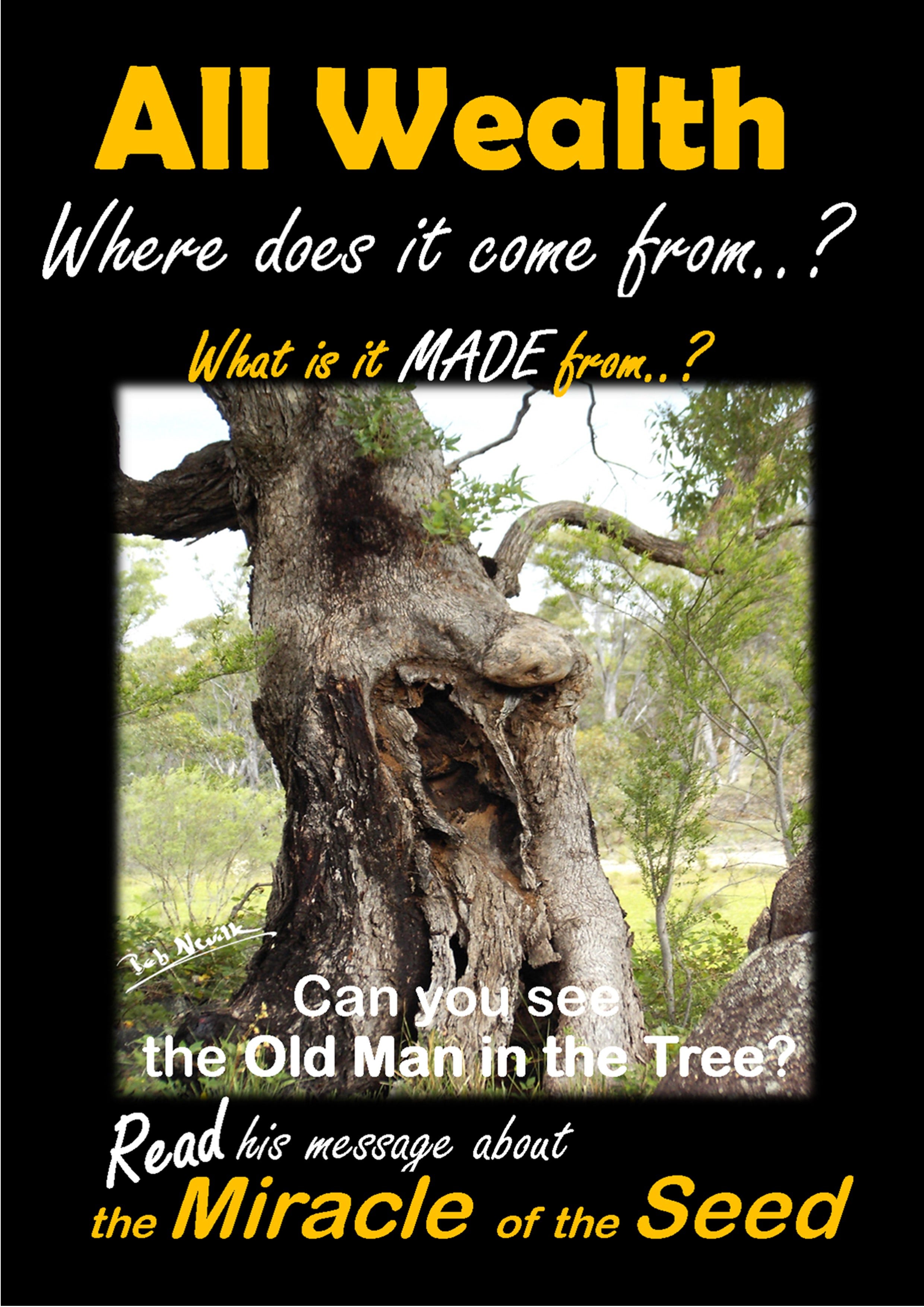 What is "wealth?” - by Bob Neville - Community Gold