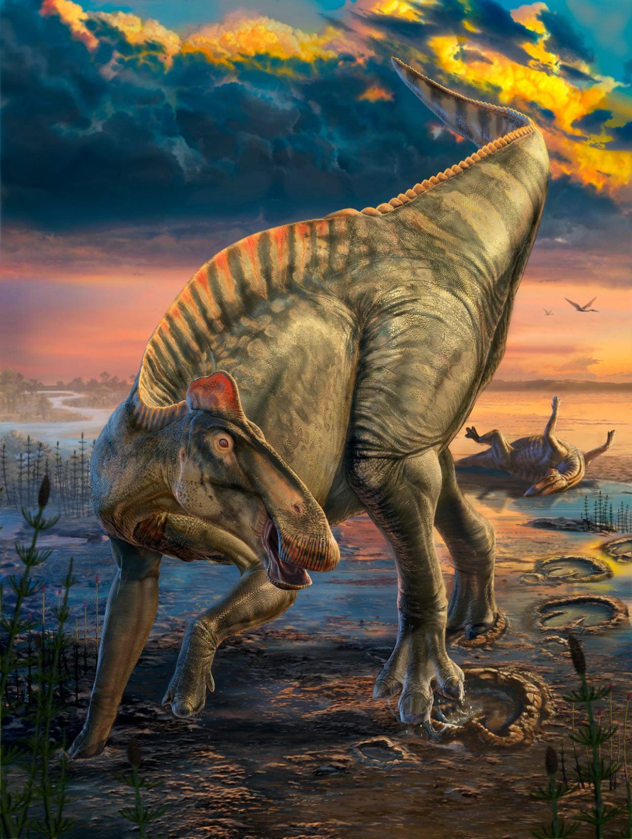 Due nuovi esemplari di Edmontosaurus annectens conservano dettagli ...