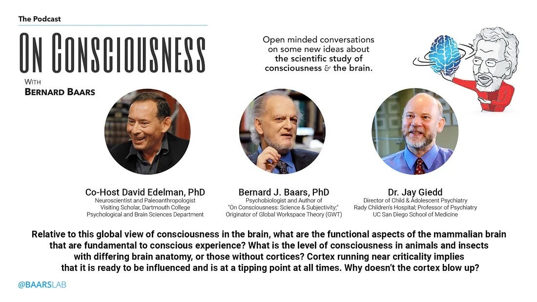 #11 — Brain Regions & Neural Functions Critical to Conscious States ...