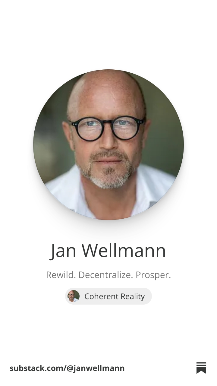 Jan Wellmann | Substack