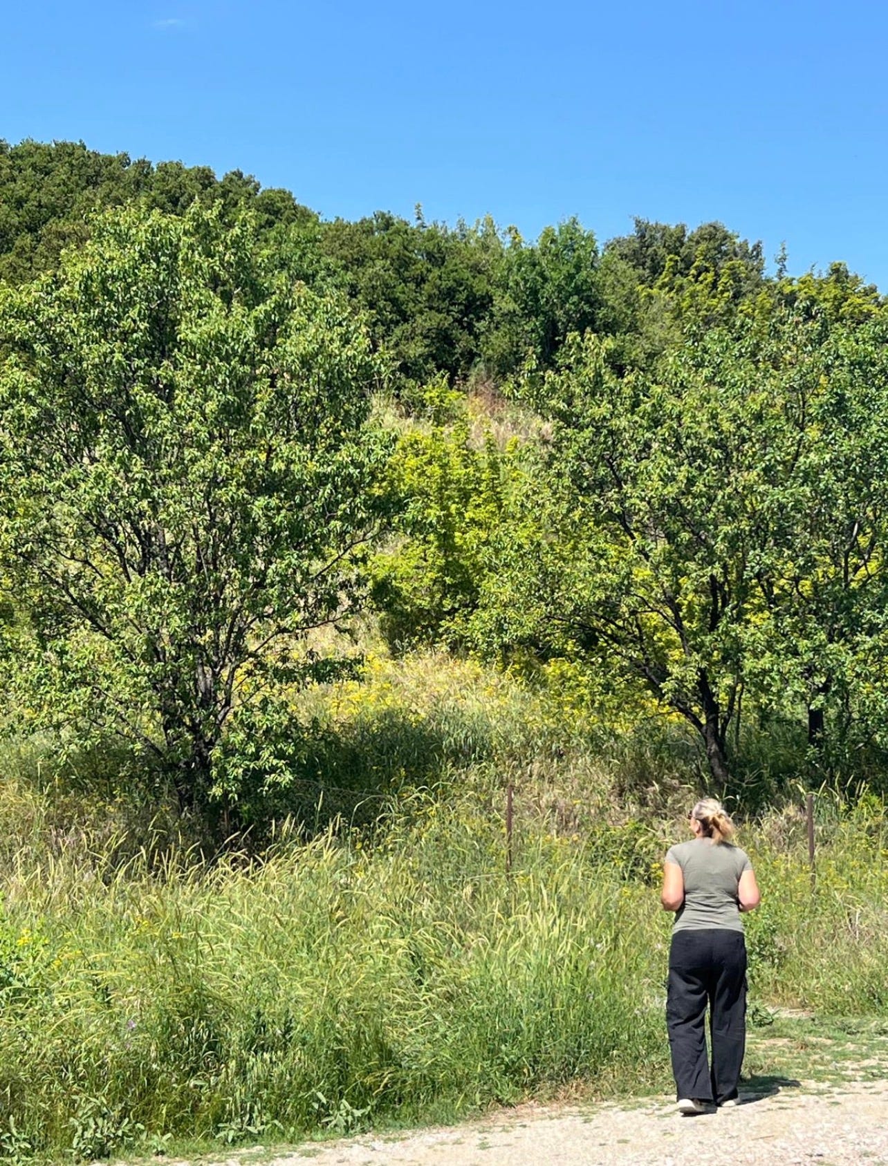 A Year That Asked for Everything - by Carla Ionescu PhD