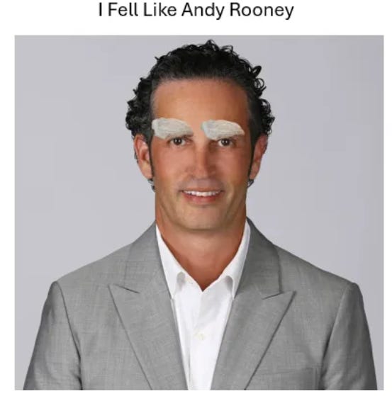 andy rooney eyebrows