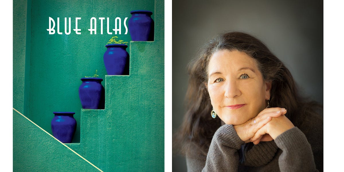 The Abortion Question: Susan Rich on Her Poetry Collection, Blue Atlas