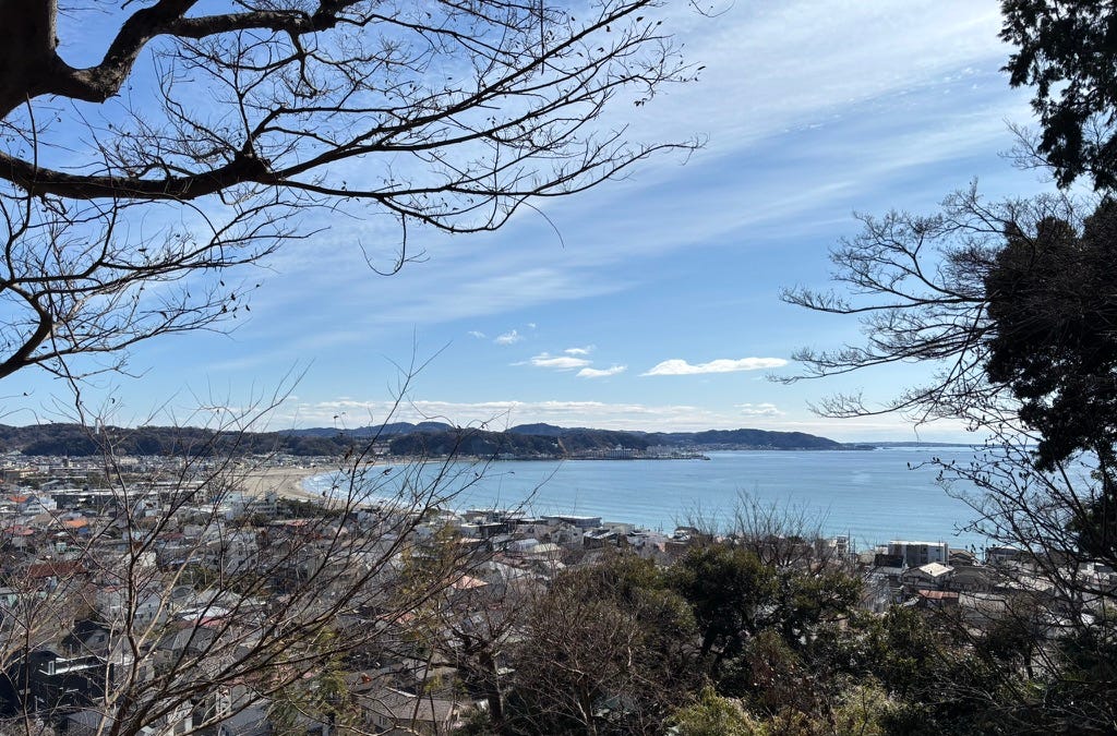 TLP Weekend Edition (January 24-25, 2026)