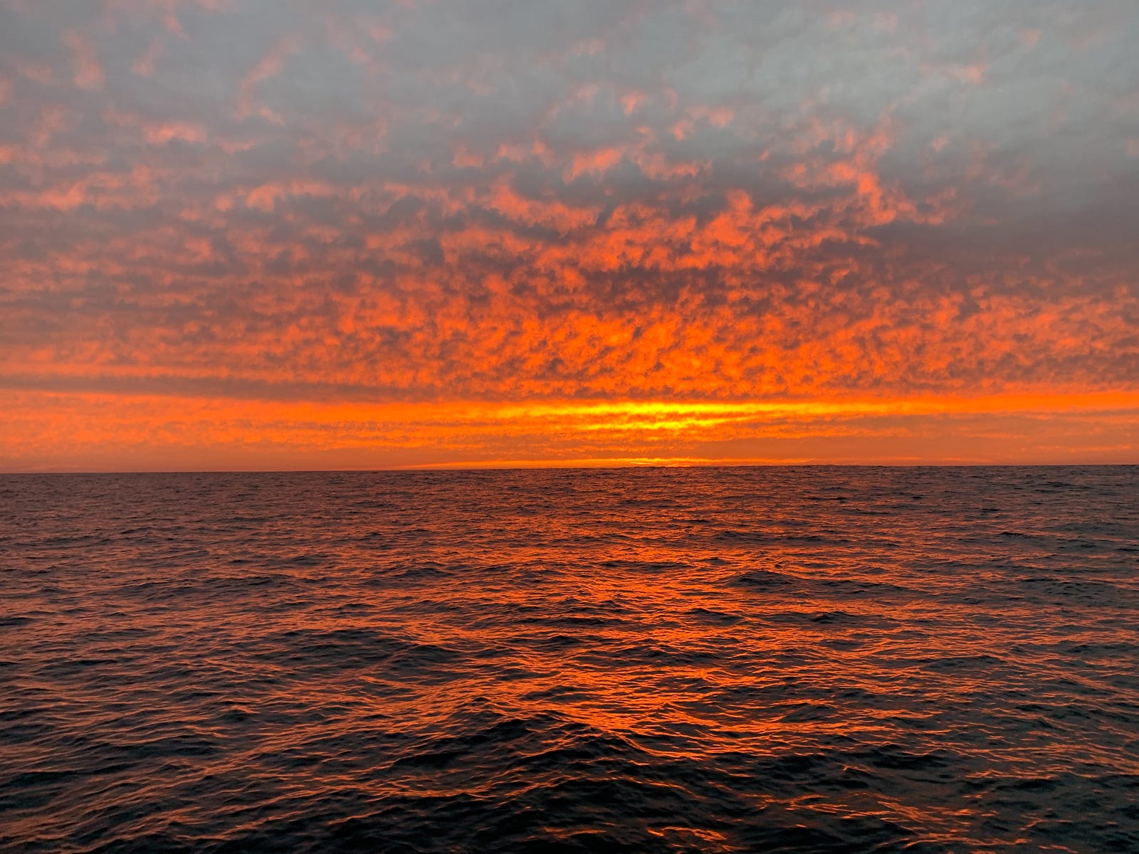 Sailing down the Baja coast - by Maciek - Pragmatic Voyager