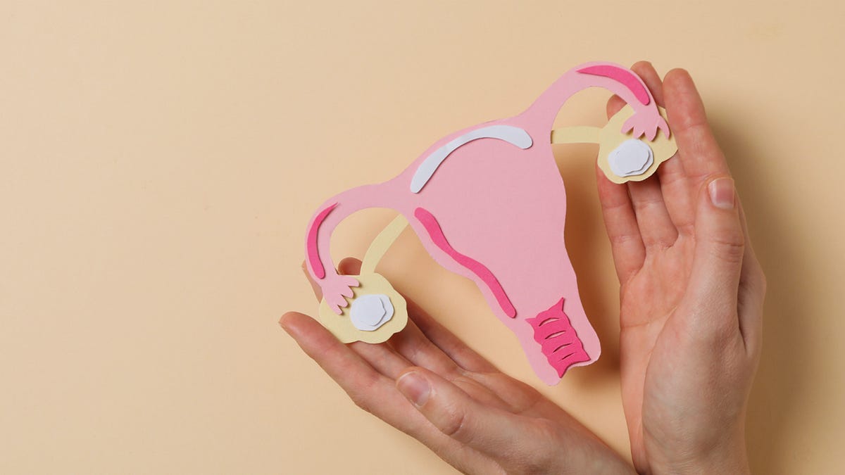 Cervix Position: Spot the Differences Before Your Period vs. Early ...