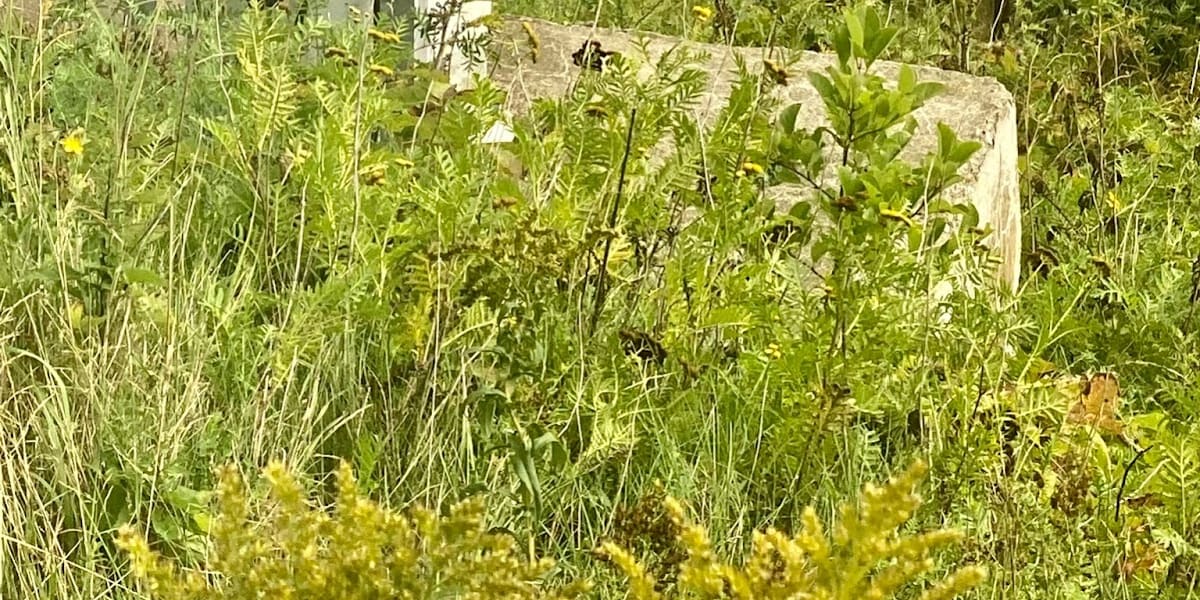 The Fog - by Robyn Metcalfe - The Art of Everything