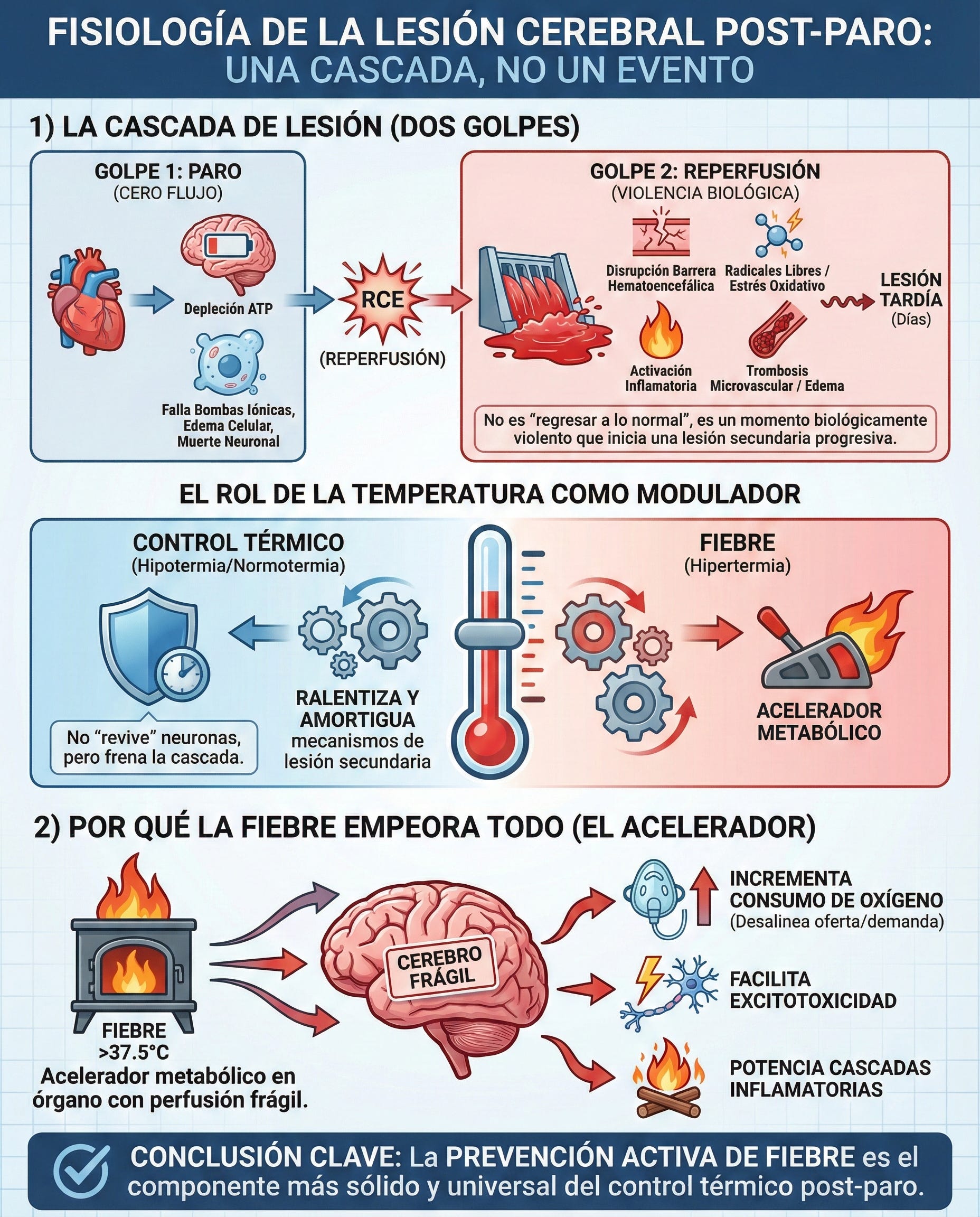 TTM post-RCE en quirófano: fiebre vs hipotermia 2025