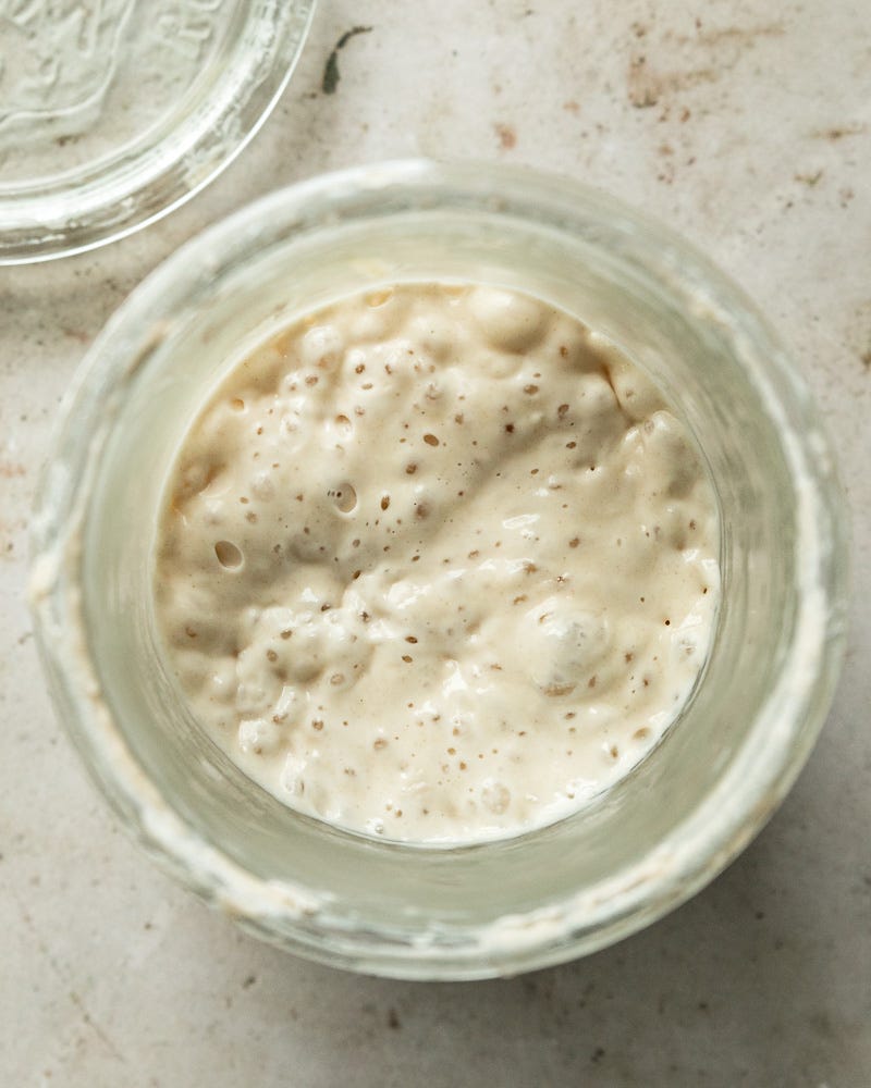 Sourdough Discard: what it is and how you can use it