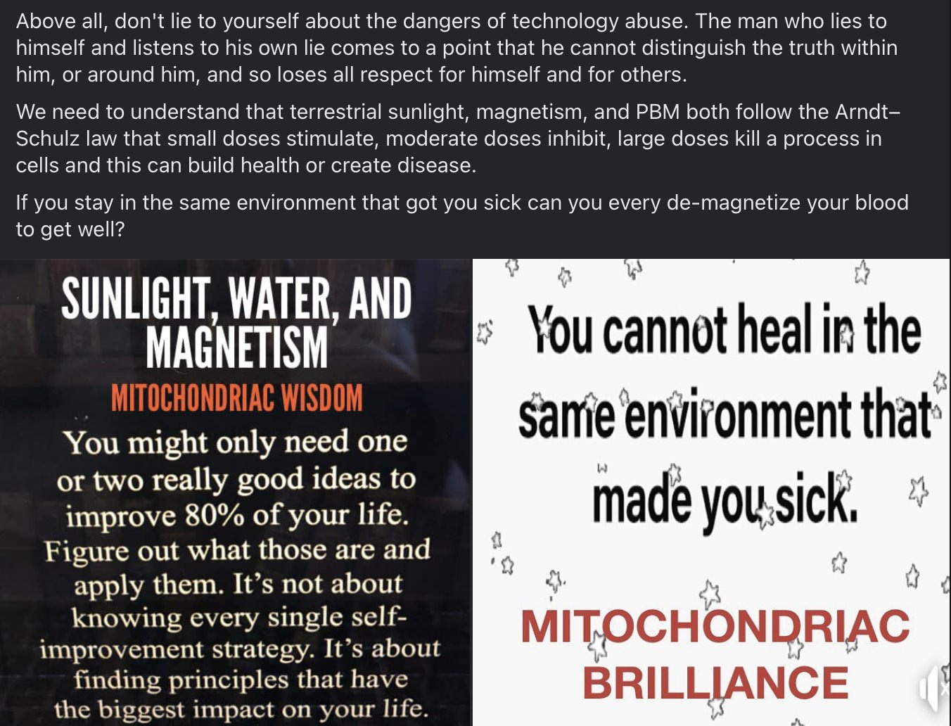 Healing From Blue Light Toxicity - Anonymous Media Group