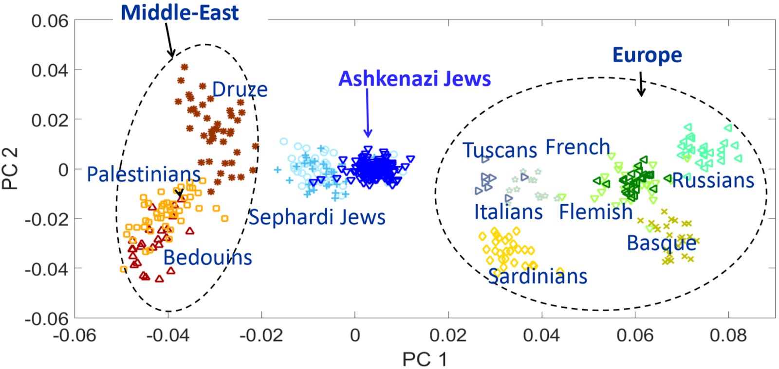 Dna Makeup Of Ashkenazi Jews