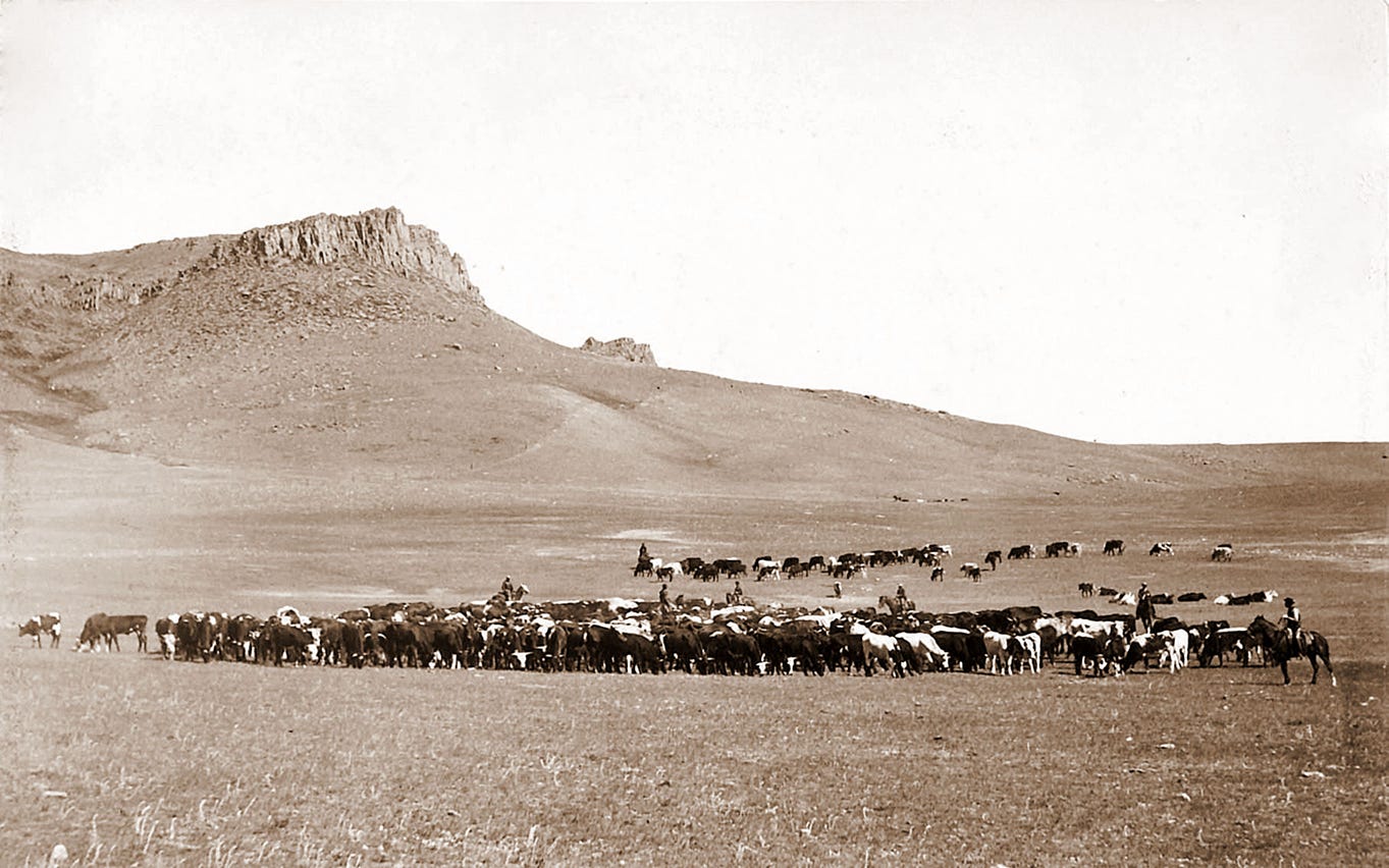 John Ware, Canada’s Legendary Cowboy (1845-1905)