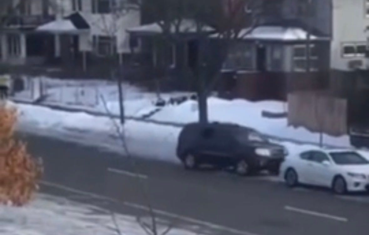 Leftist Terrorist Tries to Murder ICE, Gets Shot – USSA News | The Tea ...