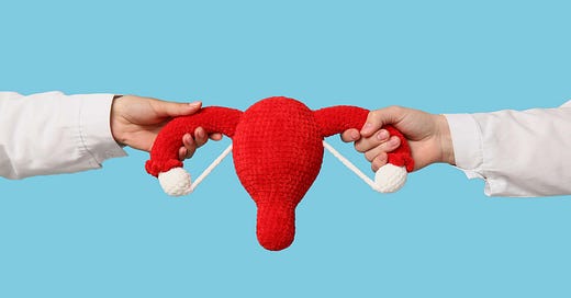 The Female Lead | Substack